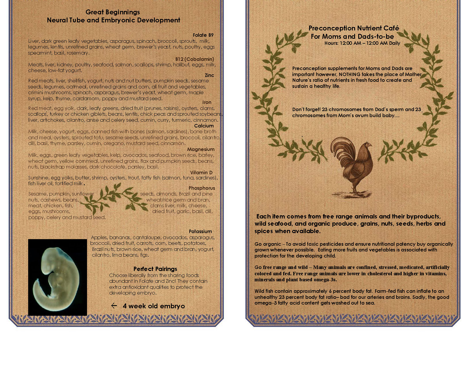 Nutrition for Learning Preconception Nutrient Café - Nutrition for Learning